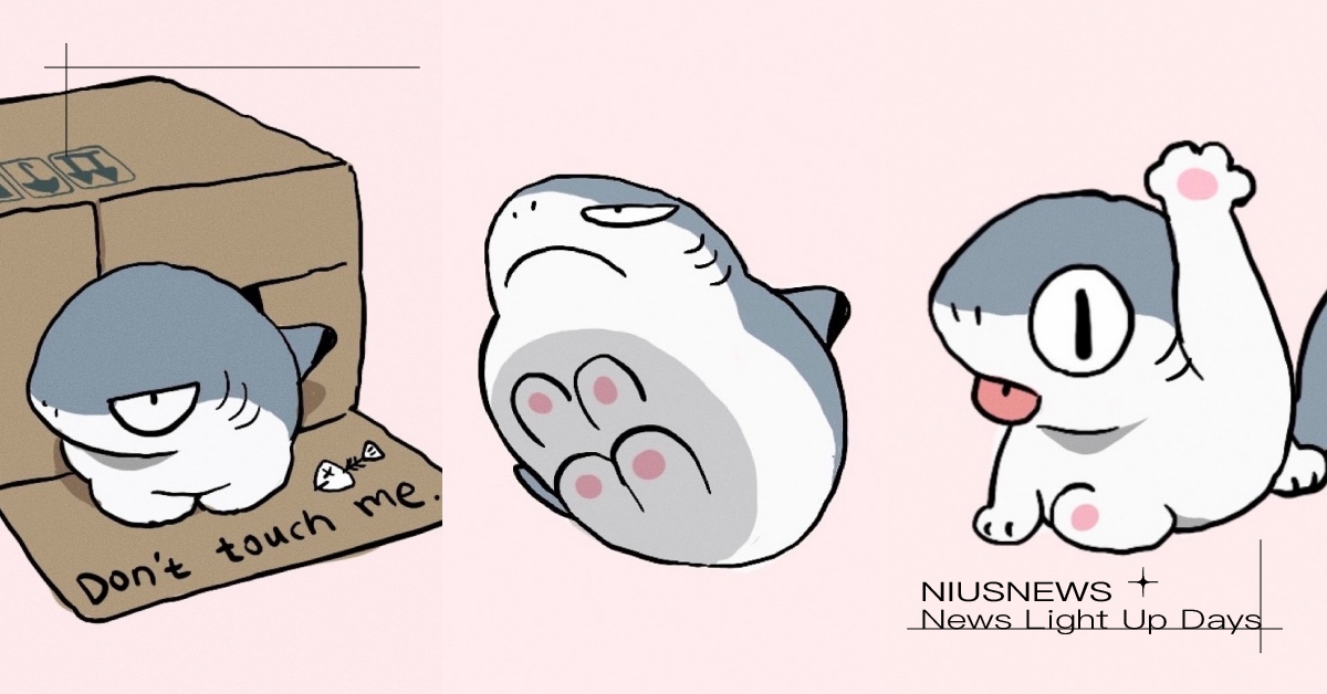 鯊魚變成貓！激萌「鯊鯊貓插畫」傳神描繪喵主子日常，睡紙箱、舔毛行徑全都錄！ | sharkitty、鯊貓插畫、yogin幺菁、中國插畫家、貓咪 ...