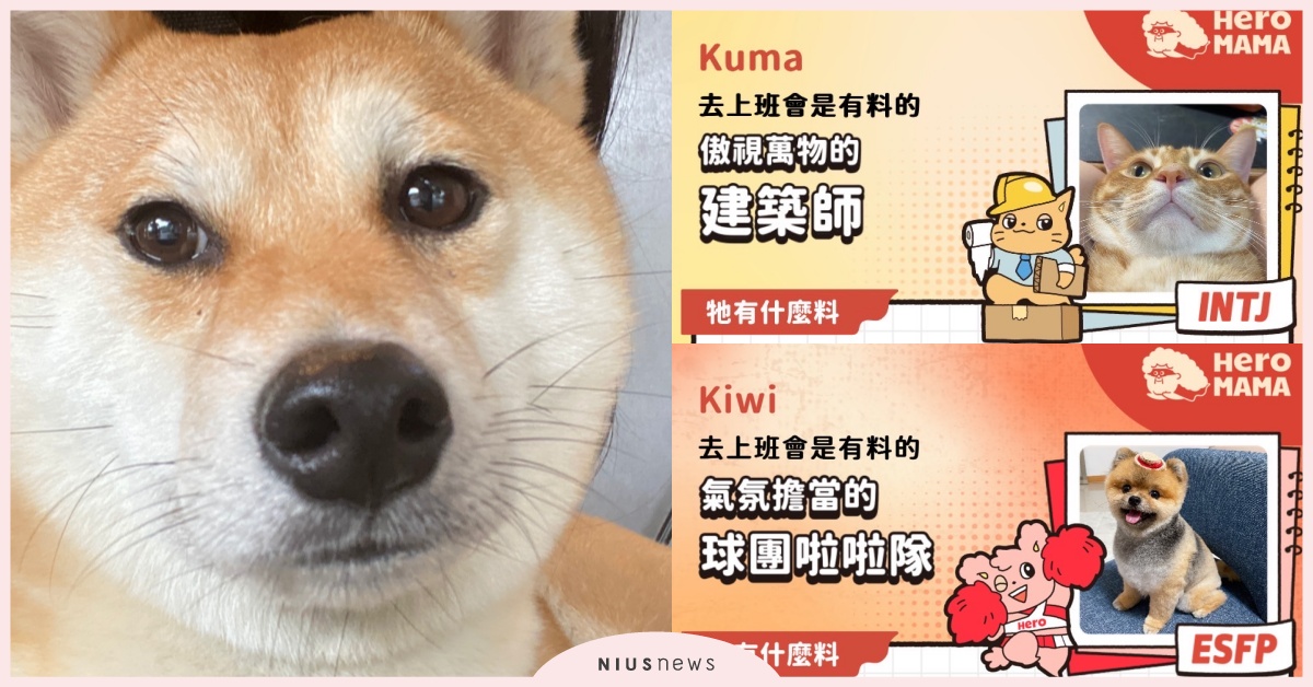 超神準「寵物版MBTI」貓狗心理測驗！8道題精準描述隱藏性格，還有毛孩工作志向？ | 寵物版MBTI、心理測驗、心測、HeroMama ...