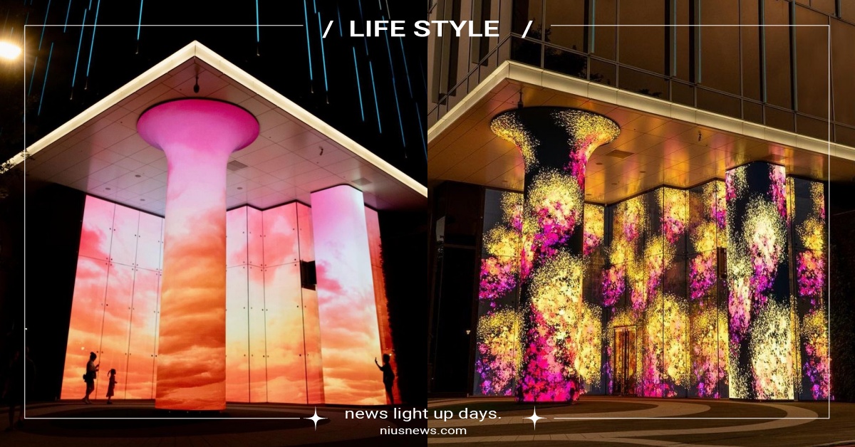 全台首座最大光廊「敦南之森」4大亮點！10公尺挑高設計，360度LED屏幕光之樹 | 敦南之森、Taipei Lumitree、凱越建設、Tiger Party、寶紘敦南商業大樓 | 愛玩妞 ...