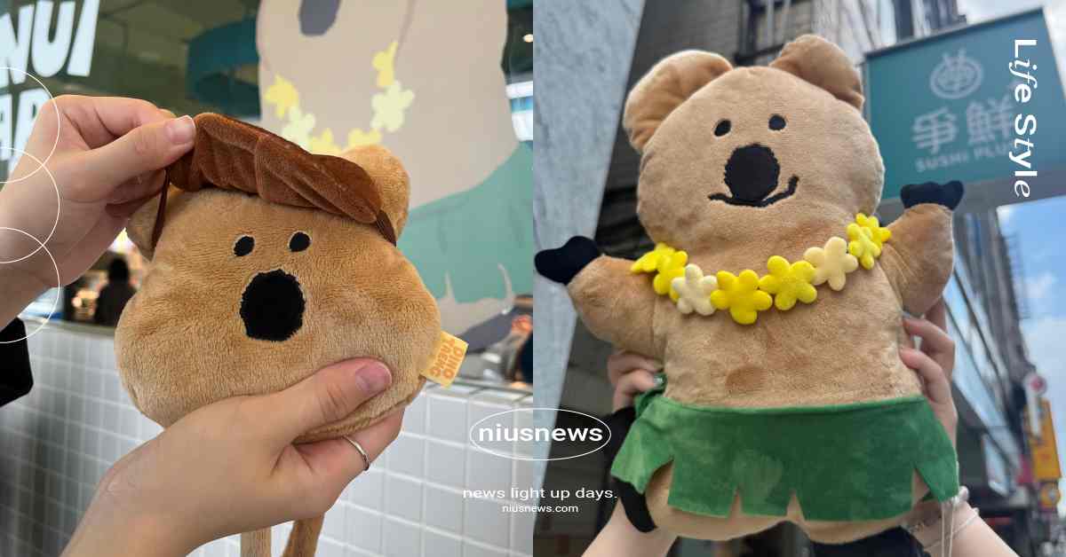 DINOTAENG聯名爭鮮10款小物開搶！超萌QUOKKA抱抱枕、錢包票卡夾超欠收 | DINOTAENG、DINOTAENG聯名、DINOTAENG爭鮮、爭鮮壽司 | 愛玩妞 | 妞新聞 ...